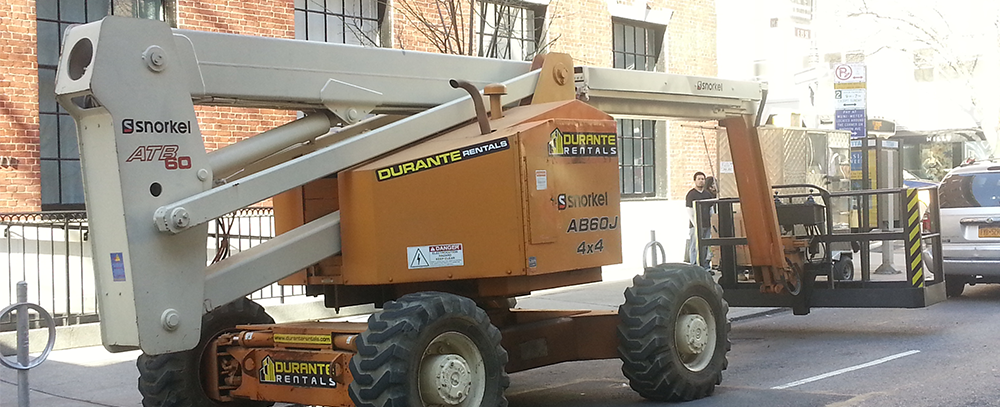 Pest Control New York City, Queens, & Nassau County NY
